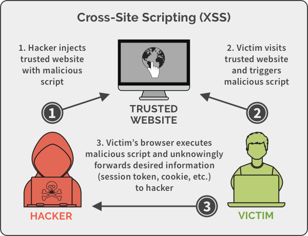 Understanding Cross Site Scripting (XSS) Understanding Cross Site Scripting (XSS)