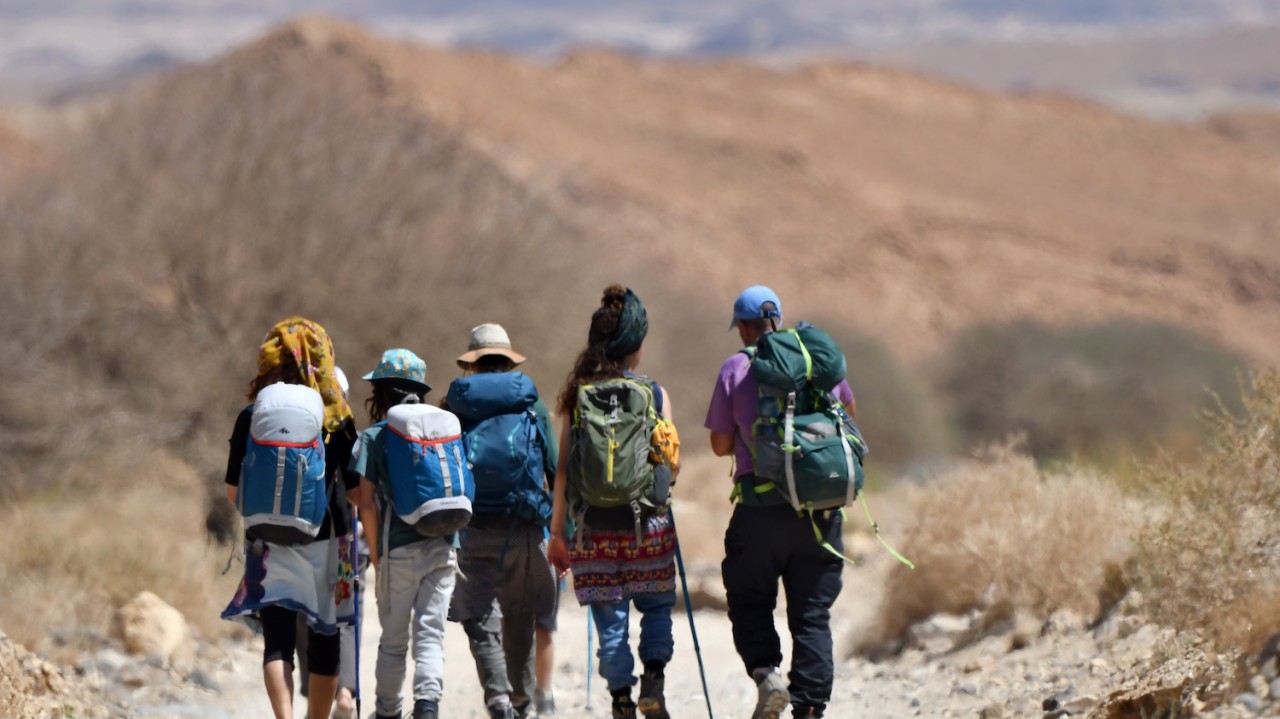 Studying the sustainability of globally embedded socio-ecological systems Studying the sustainability of globally embedded socio-ecological systems