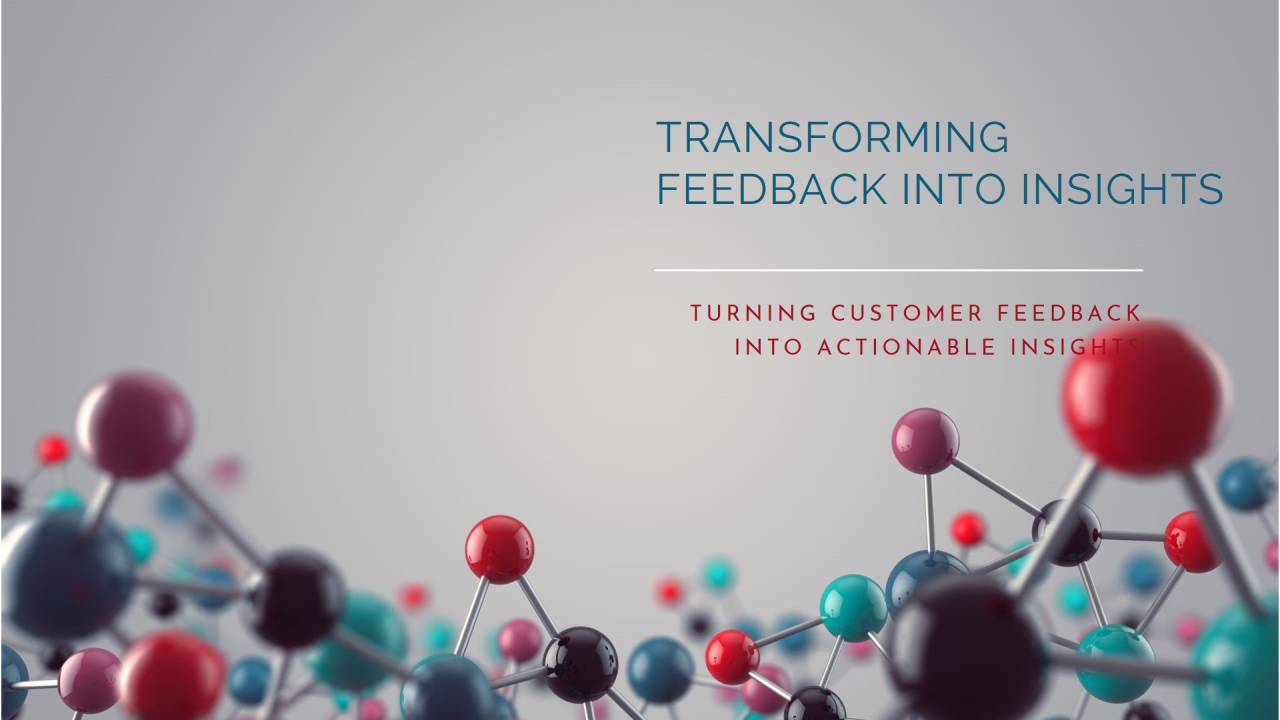 Turning Customer Feedback into Actionable Insights Turning Customer Feedback into Actionable Insights
