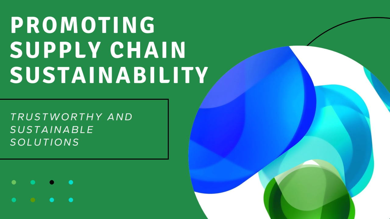 Promoting Supply Chain Sustainability Promoting Supply Chain Sustainability