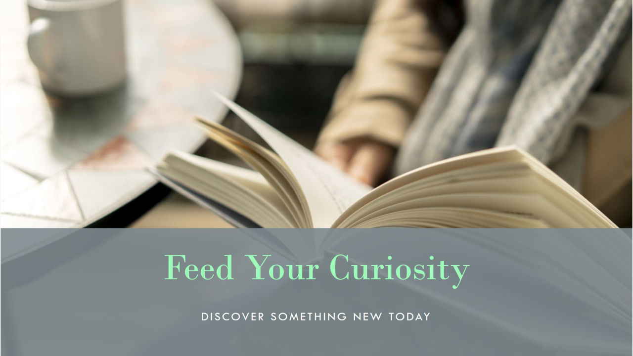 Feed Your Curiosity | Markus Karileet Feed Your Curiosity | Markus Karileet
