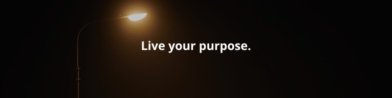 Anmol Chauhan - Head Of Ecommerce - Etsy | LinkedIn Anmol Chauhan - Head Of Ecommerce - Etsy | LinkedIn