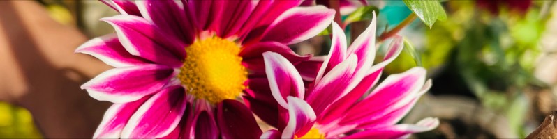 Anamika Paul - Team Lead - Amazon | LinkedIn Anamika Paul - Team Lead - Amazon | LinkedIn
