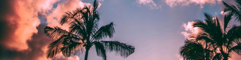 Sudhanshu Sharma on LinkedIn: Data Analysis Using Numpy and Matplotlib. Sudhanshu Sharma on LinkedIn: Data Analysis Using Numpy and Matplotlib.
