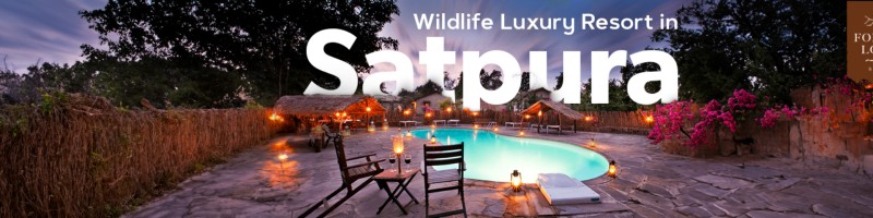 Divyaa Berde - Sales and Alliance Manager - Forsyth Lodge | LinkedIn Divyaa Berde - Sales and Alliance Manager - Forsyth Lodge | LinkedIn