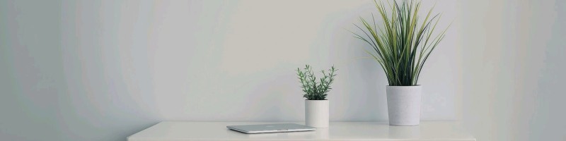 Wajeeha Batool - Web Developer - Nerdy Labs | LinkedIn Wajeeha Batool - Web Developer - Nerdy Labs | LinkedIn