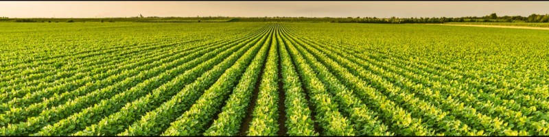 Jai Kumar Gupta on LinkedIn: #suppletek #basmati #grainsofhonesty # ... Jai Kumar Gupta on LinkedIn: #suppletek #basmati #grainsofhonesty # ...