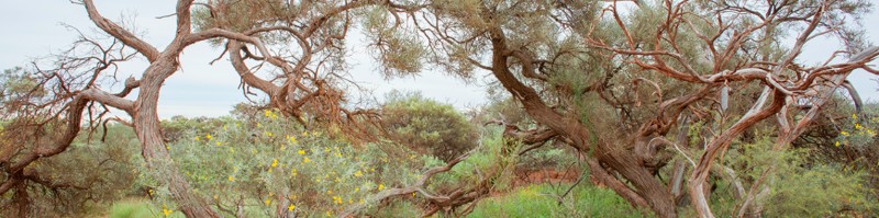 Renata Chede - Photographer - Renata Chede | LinkedIn Renata Chede - Photographer - Renata Chede | LinkedIn