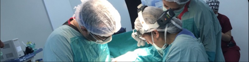 Guldeniz Karadeniz Cakmak MD, FACS, FEBS - Fellow - Breast Surgery ... Guldeniz Karadeniz Cakmak MD, FACS, FEBS - Fellow - Breast Surgery ...