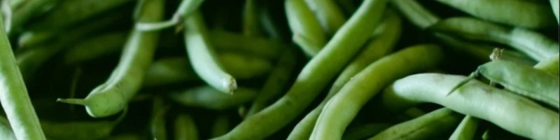 MAYOWA AYENI - Chief Executive Officer - Exploreland Farms | LinkedIn MAYOWA AYENI - Chief Executive Officer - Exploreland Farms | LinkedIn