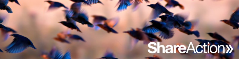Catherine Howarth OBE - ShareAction | LinkedIn Catherine Howarth OBE - ShareAction | LinkedIn