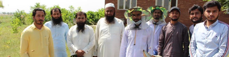 Dr Muhammad Asif Aziz - Lecturer - Arid Agriculture University | LinkedIn Dr Muhammad Asif Aziz - Lecturer - Arid Agriculture University | LinkedIn