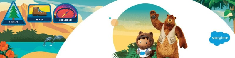 Arshad Ali - Entry-Level Salesforce Developer | Proficient in Apex ... Arshad Ali - Entry-Level Salesforce Developer | Proficient in Apex ...