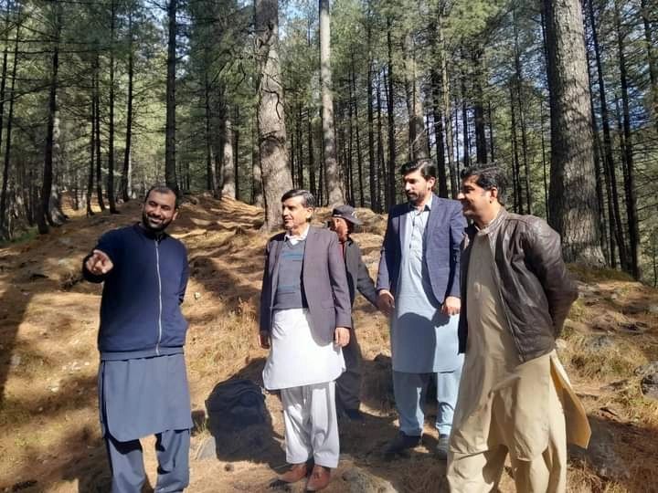 Muhammad Asif Khan on LinkedIn: #forestry Muhammad Asif Khan on LinkedIn: #forestry