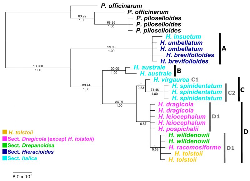Diversity MDPI on LinkedIn: #article #extinctornot #integratedtaxonomy ... Diversity MDPI on LinkedIn: #article #extinctornot #integratedtaxonomy ...