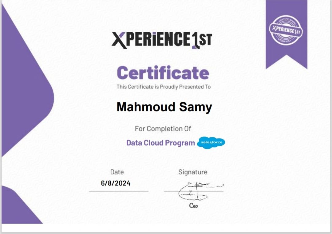 Mahmoud Elbatran on LinkedIn: #datacloud #salesforce #internship # ... Mahmoud Elbatran on LinkedIn: #datacloud #salesforce #internship # ...