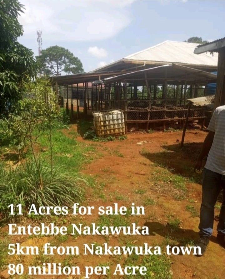 11 Acres for sale in Entebbe Nakawuka 5km from Nakawuka Town Ugx 80 ... 11 Acres for sale in Entebbe Nakawuka 5km from Nakawuka Town Ugx 80 ...