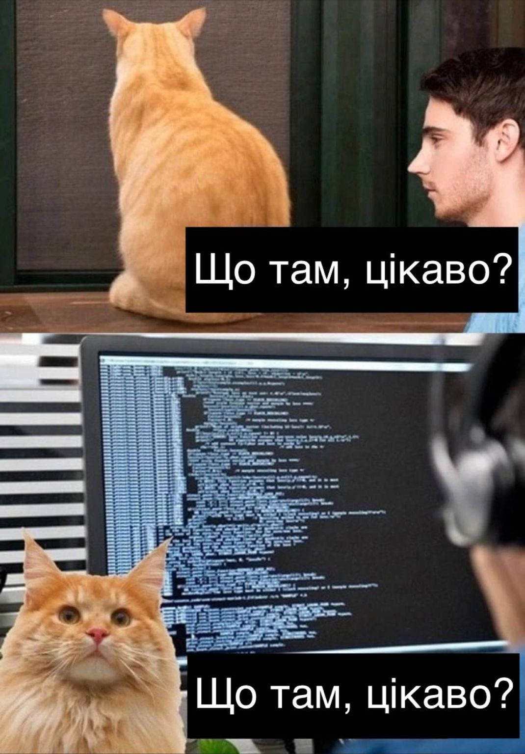 Alexander Berezovskyi on LinkedIn: #work #job #code #developer # ... Alexander Berezovskyi on LinkedIn: #work #job #code #developer # ...