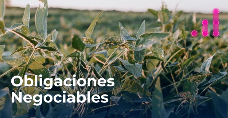 TCA Tanoira Cassagne on LinkedIn: Nicholson y Cano Abogados y TCA ... TCA Tanoira Cassagne on LinkedIn: Nicholson y Cano Abogados y TCA ...