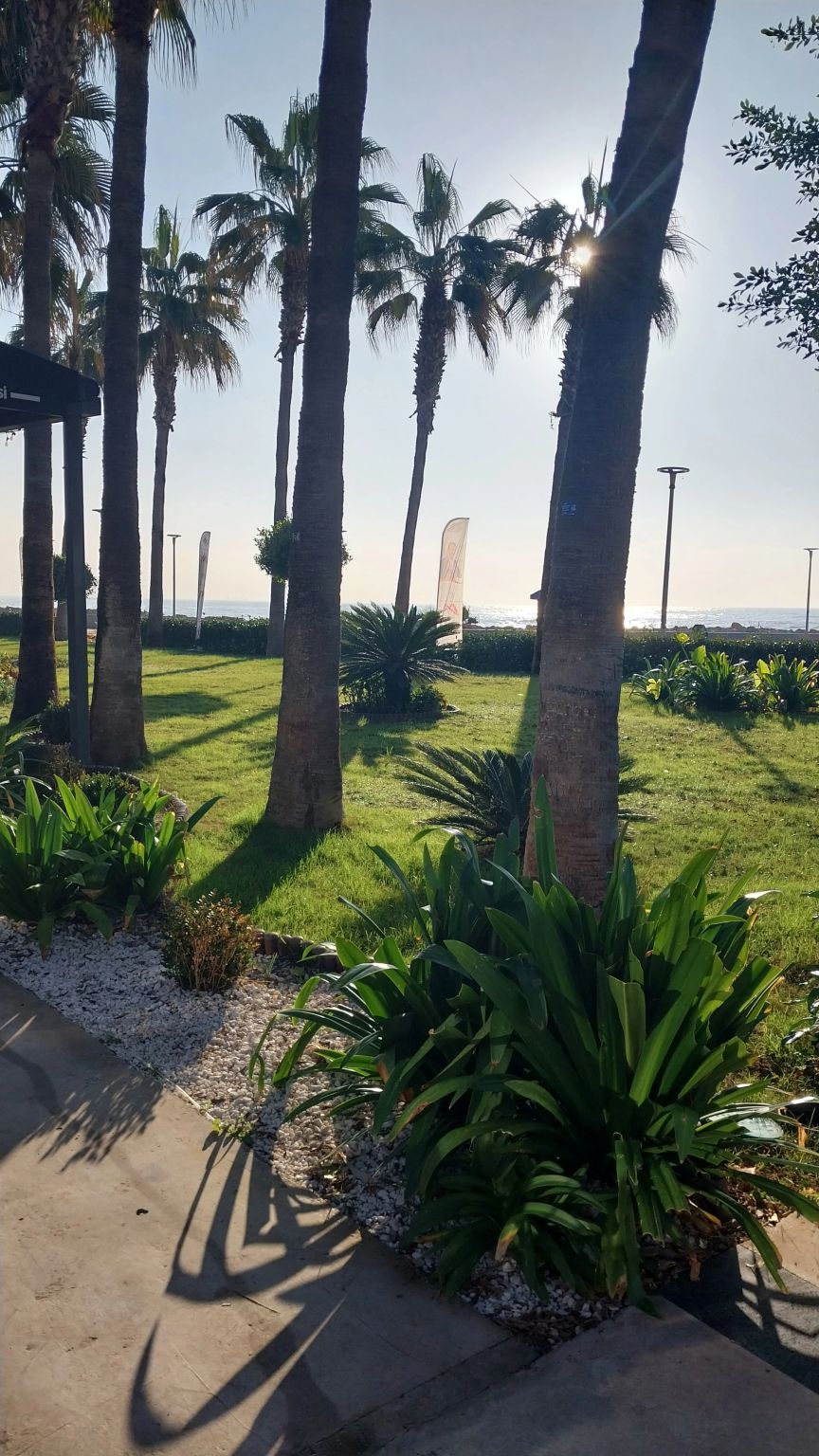 Zamir Khotov on LinkedIn: Good morning Zamir Khotov on LinkedIn: Good morning