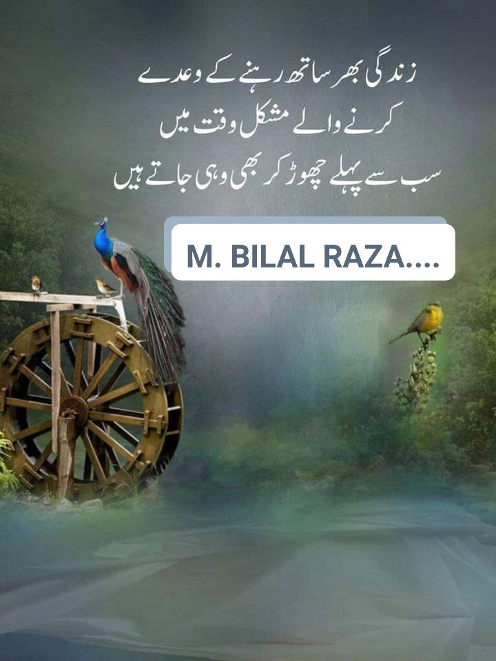 Muhammad Bilal Raza posted on LinkedIn Muhammad Bilal Raza posted on LinkedIn