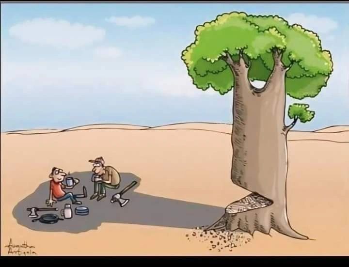 Sakina Shafiullah on LinkedIn: #climate #changes Sakina Shafiullah on LinkedIn: #climate #changes