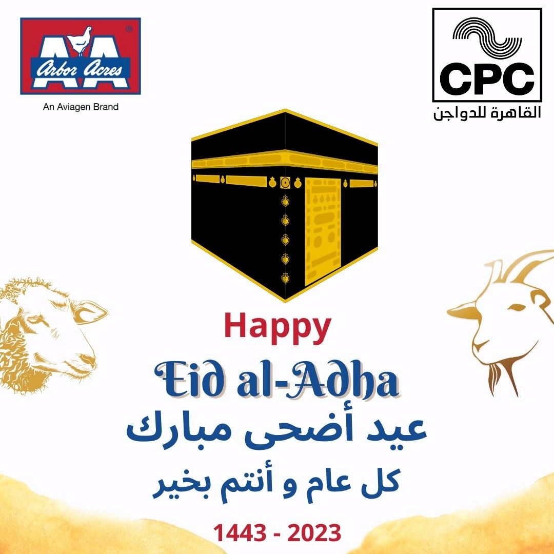 Happy Eid al-Adha | Ahmad Gamal Happy Eid al-Adha | Ahmad Gamal