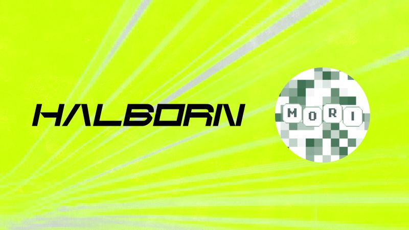 Halborn on LinkedIn: #security Halborn on LinkedIn: #security