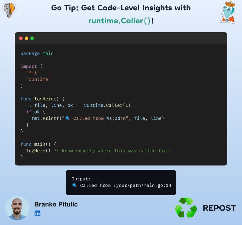 #go #golang #debugging #observability #softwareengineering #gophers ... #go #golang #debugging #observability #softwareengineering #gophers ...