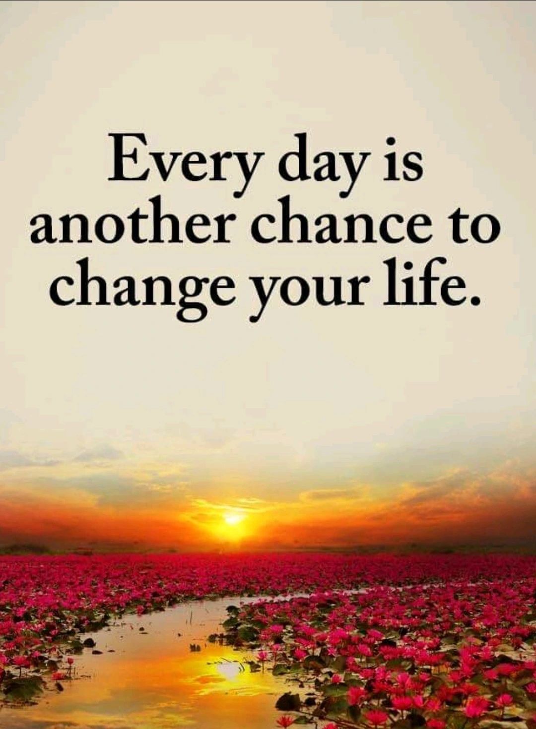 Abhimanyu Sharma posted on LinkedIn Abhimanyu Sharma posted on LinkedIn