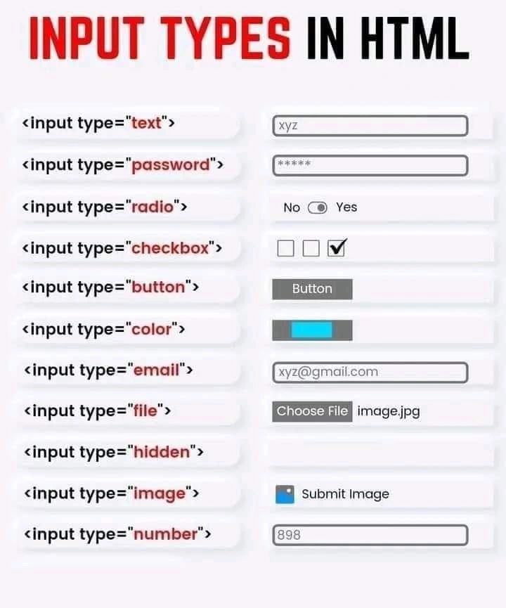 Rafay memon on LinkedIn: input types in html ️ #hypertextmarkuplanguage ... Rafay memon on LinkedIn: input types in html ️ #hypertextmarkuplanguage ...