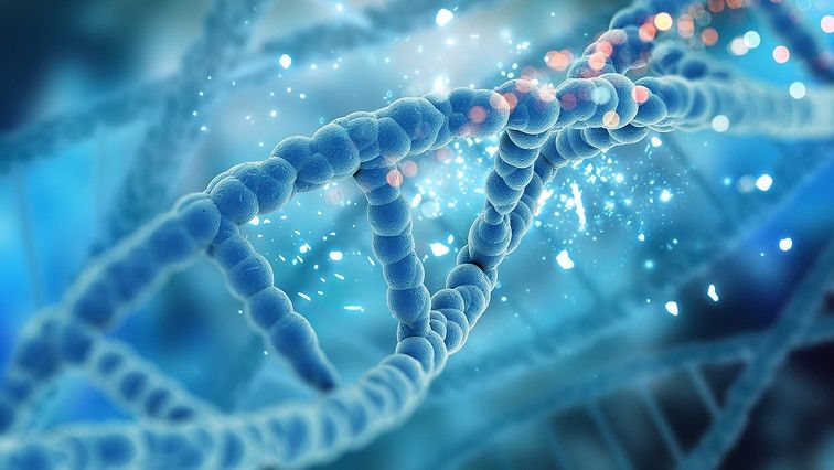International Team Develops Novel DNA Nano-engine | STATNANO ... International Team Develops Novel DNA Nano-engine | STATNANO ...