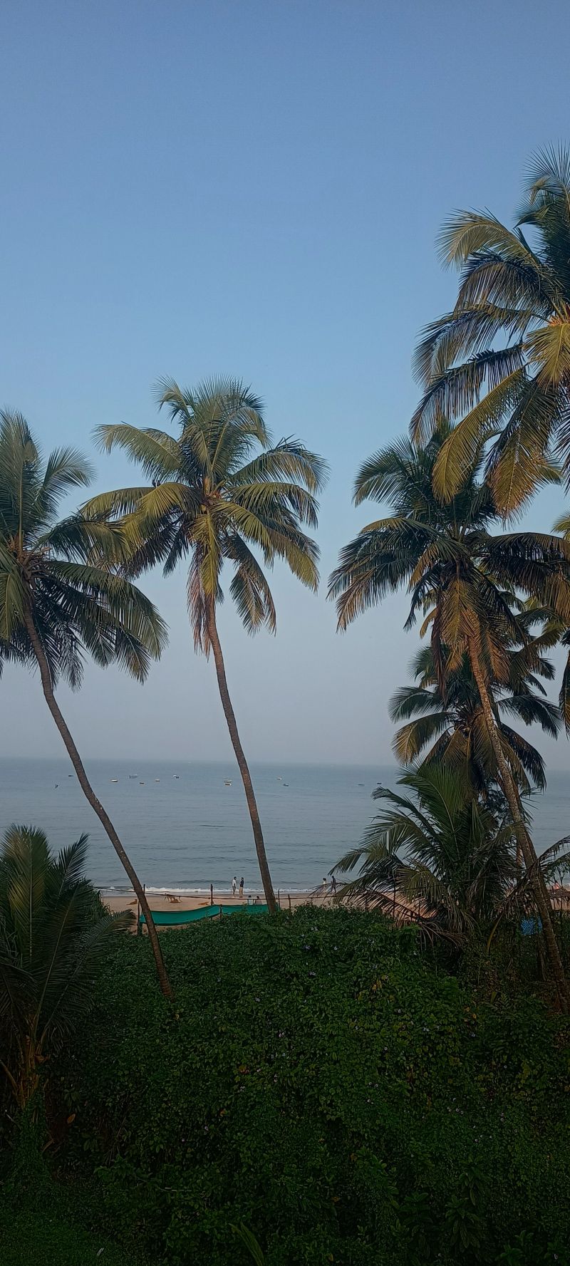 Raunak Gupta on LinkedIn: #tourism #entrepreneurship #careergrowth # ... Raunak Gupta on LinkedIn: #tourism #entrepreneurship #careergrowth # ...
