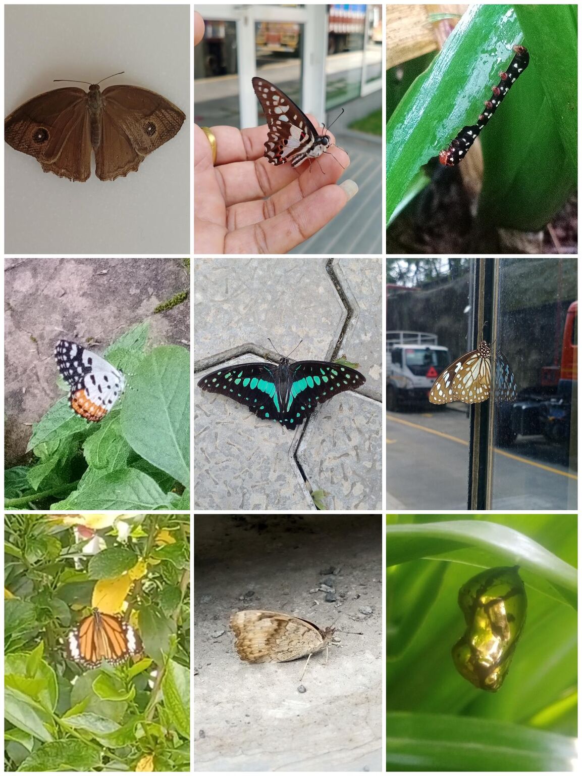 Suraj Kadam on LinkedIn: #the #esg #habitat Suraj Kadam on LinkedIn: #the #esg #habitat