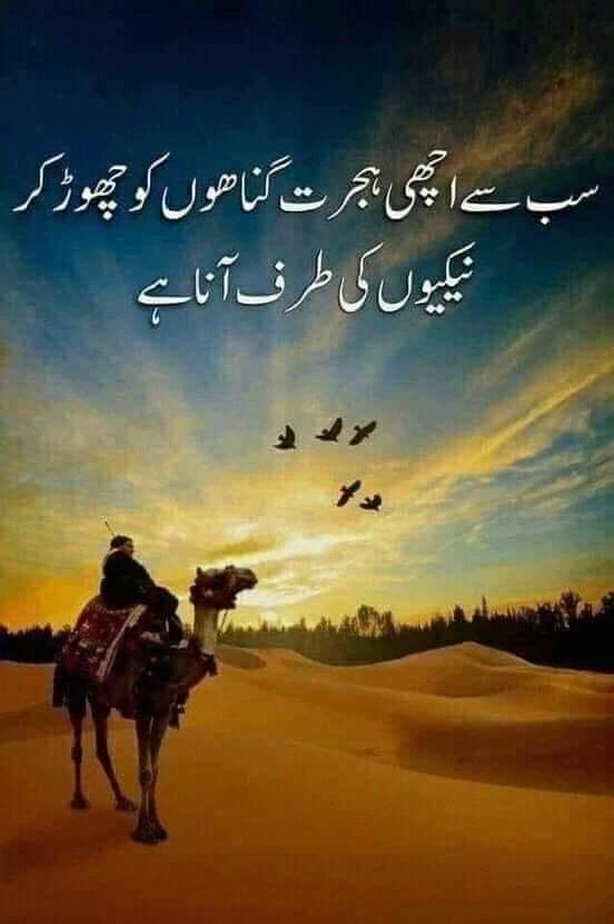 Zohaib Hassan posted on LinkedIn Zohaib Hassan posted on LinkedIn