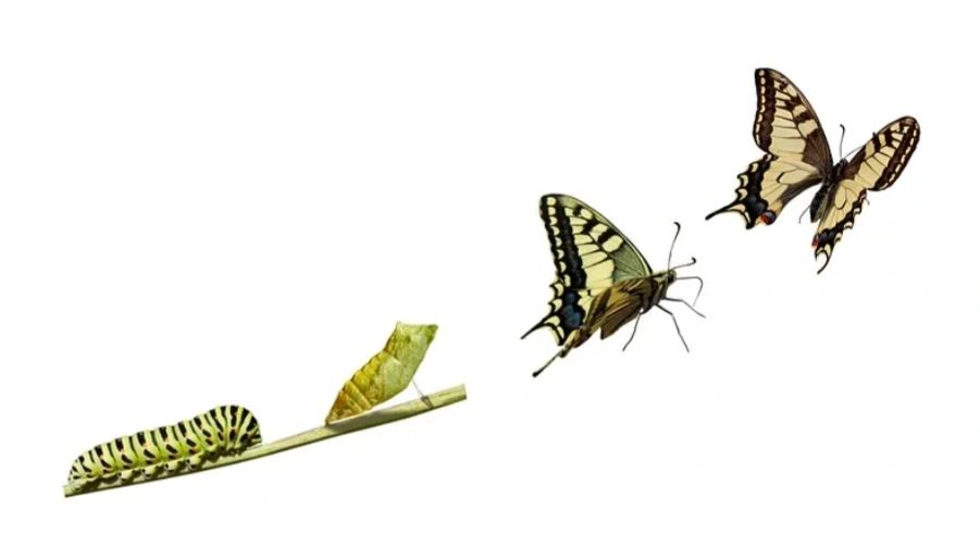 Sudhir Pai on LinkedIn: Manager vs Leader Was having a coffee meet-up ... Sudhir Pai on LinkedIn: Manager vs Leader Was having a coffee meet-up ...