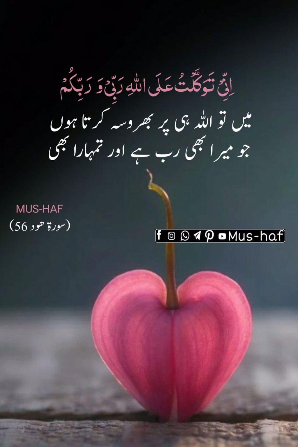 Muhammad Awais Awais posted on LinkedIn Muhammad Awais Awais posted on LinkedIn