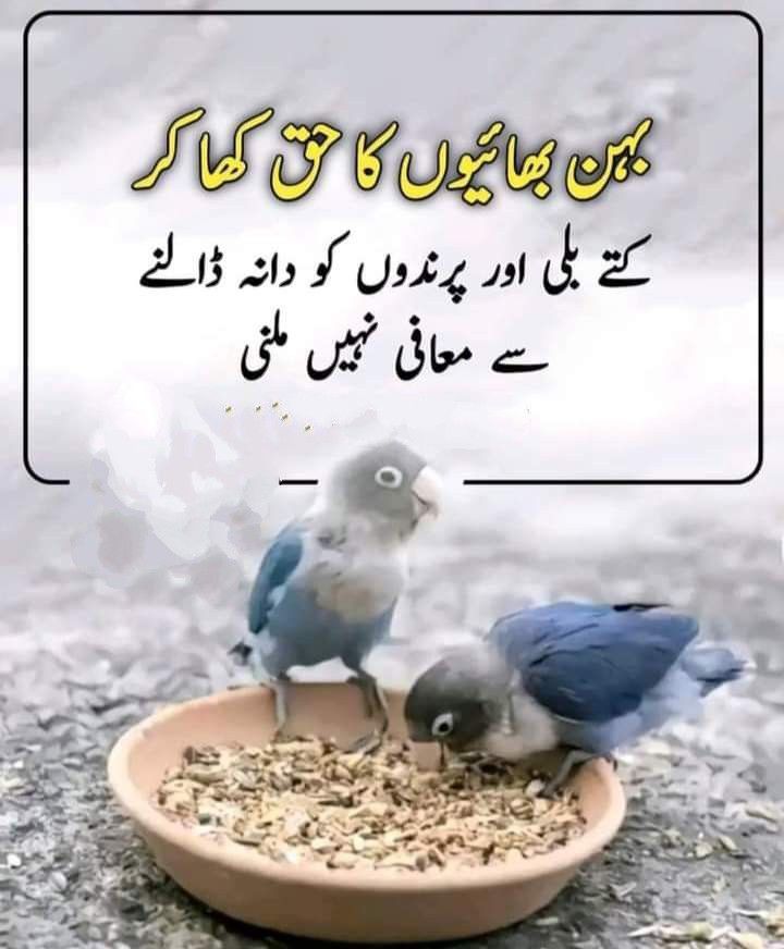 Beshak | Ahsan Mughal Beshak | Ahsan Mughal