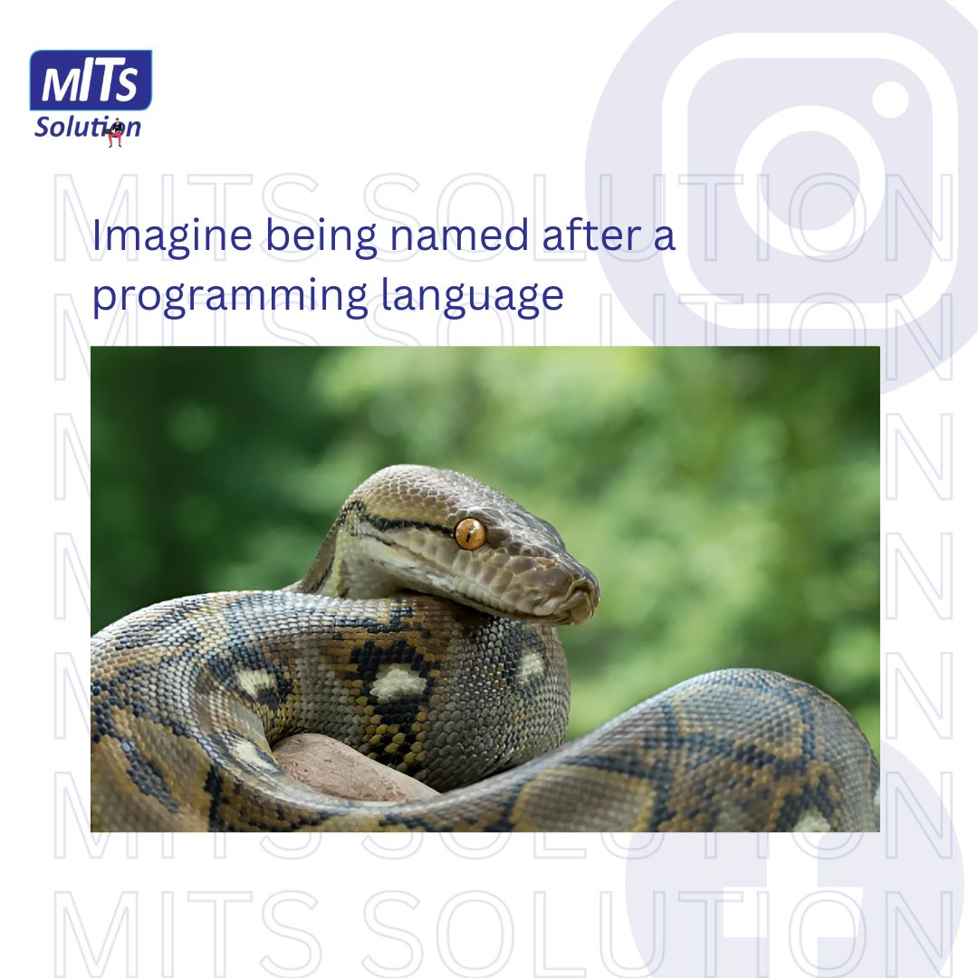 MITS Solution on LinkedIn: #codingmemes #programmerhumor # ... MITS Solution on LinkedIn: #codingmemes #programmerhumor # ...