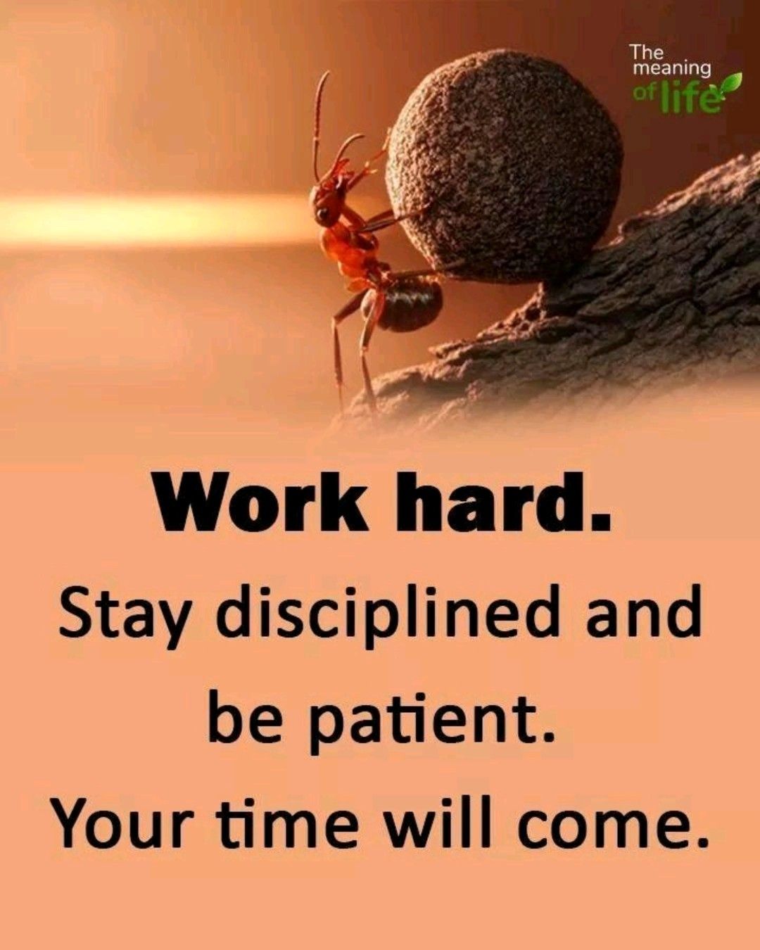 Ayush Singh Raghuvanshi posted on LinkedIn Ayush Singh Raghuvanshi posted on LinkedIn