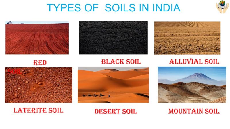 Komal Jaiswal on LinkedIn: #indiansoildiversity #agriculturallandscape ... Komal Jaiswal on LinkedIn: #indiansoildiversity #agriculturallandscape ...
