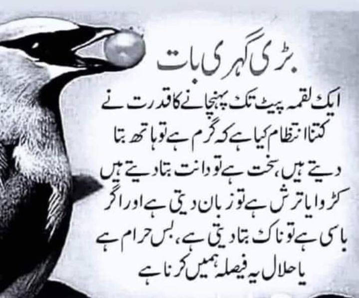 Tahir Mehmood Awan posted on LinkedIn Tahir Mehmood Awan posted on LinkedIn