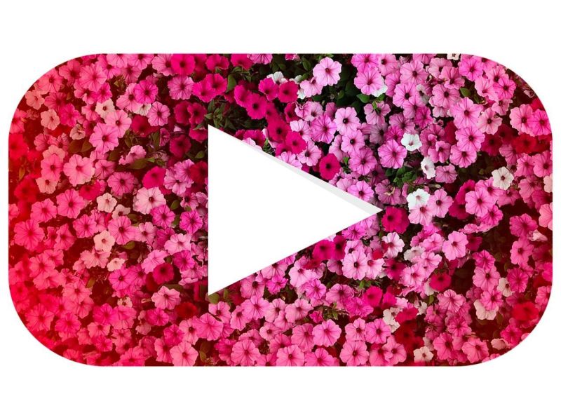 Raunak Saha on LinkedIn: YouTube Downloader: Overcoming Common ... Raunak Saha on LinkedIn: YouTube Downloader: Overcoming Common ...