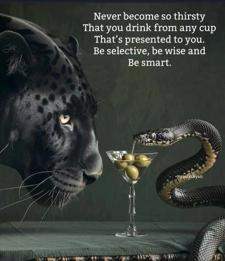 Shoaib ur Rehman posted on LinkedIn Shoaib ur Rehman posted on LinkedIn