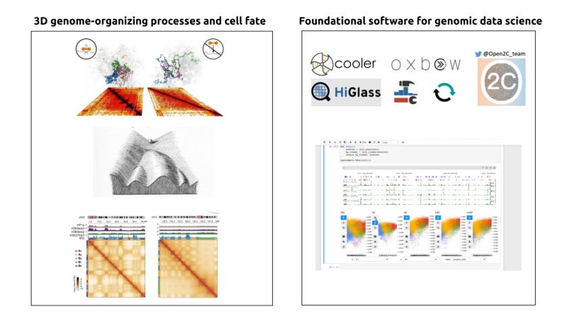 Postdoctoral Fellow in Computational Genomics | jobRxiv Postdoctoral Fellow in Computational Genomics | jobRxiv