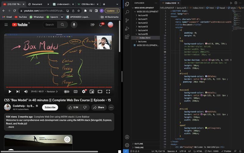 Focusing on the CSS Box Model. | Wahib Bashar Focusing on the CSS Box Model. | Wahib Bashar