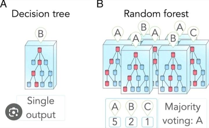 Anurag Shrivas on LinkedIn: #decisiontrees #randomforest #dataanalysis ... Anurag Shrivas on LinkedIn: #decisiontrees #randomforest #dataanalysis ...