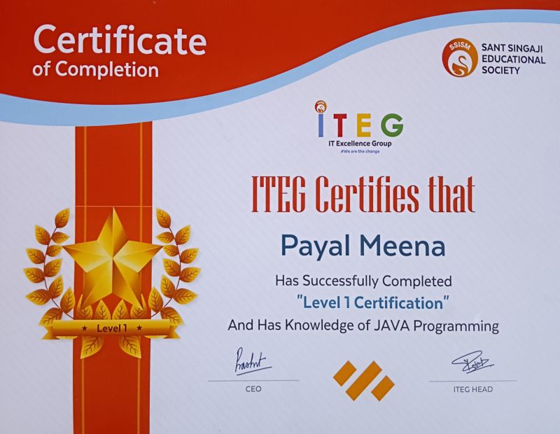 Payal Meena on LinkedIn: Excited to share my achievement! 🎉 I have ... Payal Meena on LinkedIn: Excited to share my achievement! 🎉 I have ...