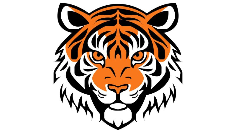 Shazil Pervaiz on LinkedIn: Tiger logo design Created by Shazil Parvaiz ... Shazil Pervaiz on LinkedIn: Tiger logo design Created by Shazil Parvaiz ...