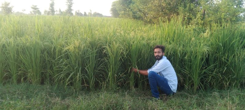 Muhammad Luqman Talib Gujjar on LinkedIn: #passion #servicess #love # ... Muhammad Luqman Talib Gujjar on LinkedIn: #passion #servicess #love # ...